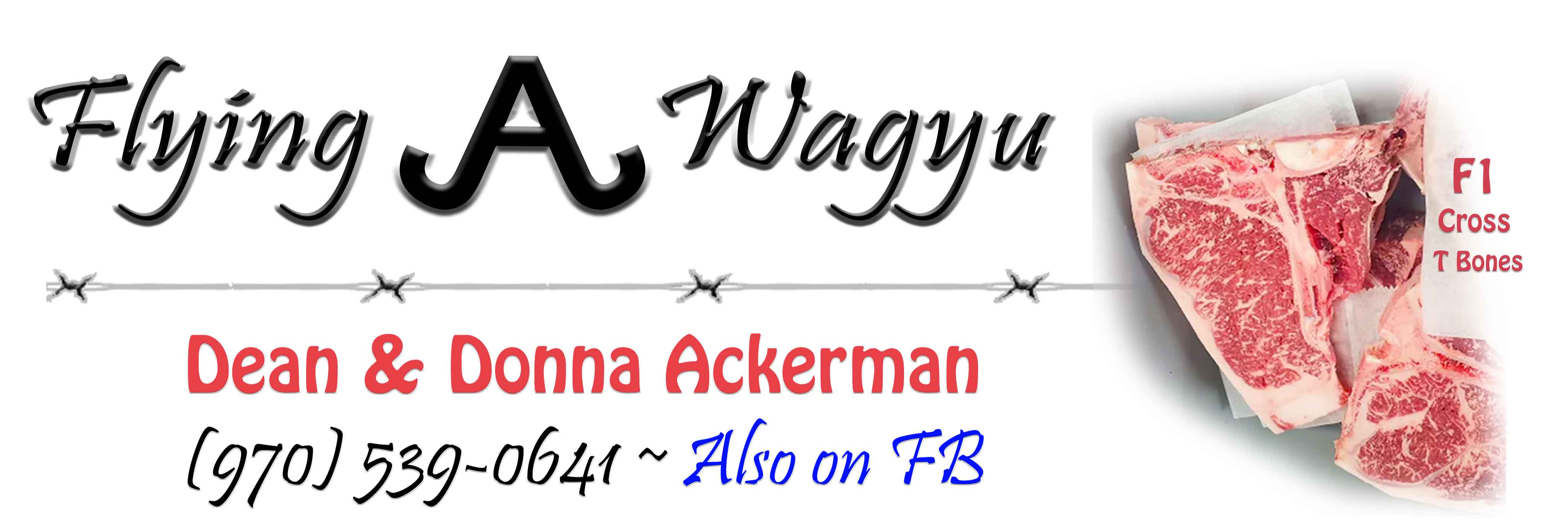 Flying A Wagyu 100% Full Blood Black Wagyu; F1, F2's and Full Blood ...