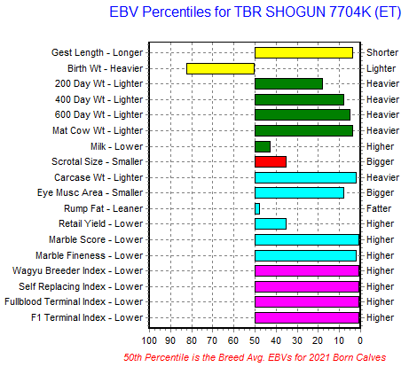 Shogun 7704 - Flying A Wagyu 100% Full Blood Black Wagyu