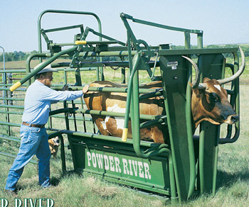 Powder River Cattle Chutes,Cattle Working Squeeze Chutes, Chute ...