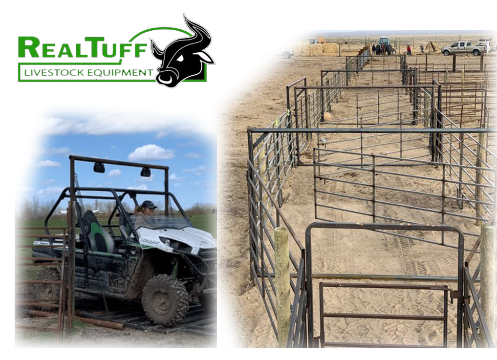 Cattle & Equine Fencing: Panels, Gates, Stalls, Round Pens, Electric ...