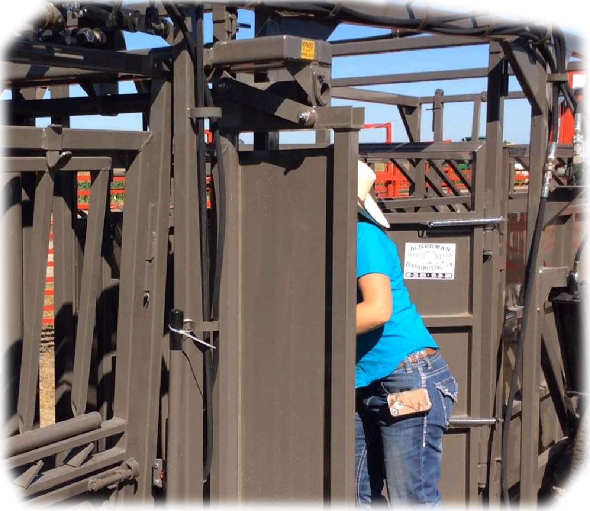 Titan Portable Hydrualic and Manual Chutes, Alley, & Portable Tub ...